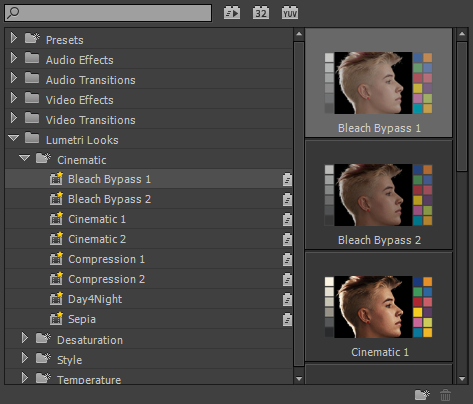 Premiere Pro CS Next: Lumetri Looks Applied as Presets - The Beat: A ...