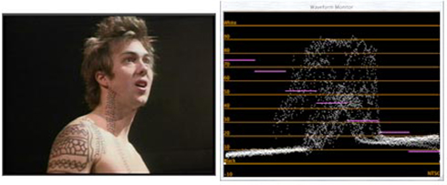 Video Essentials: How to Read a Vectorscope and Waveform Monitor - The ...
