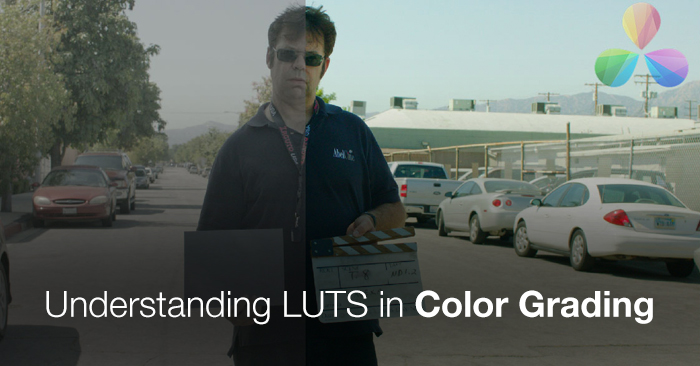 Understanding LUTS in Color Grading - The Beat: A Blog by PremiumBeat