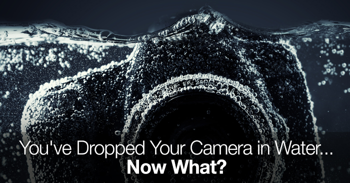You Dropped Your Camera in Water... Now What? - The Beat: A Blog by ...