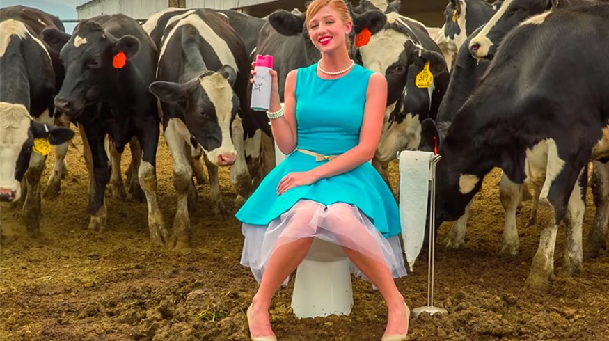 Marketing Inspiration: The Viral Video Sensation, Poo Pourri
