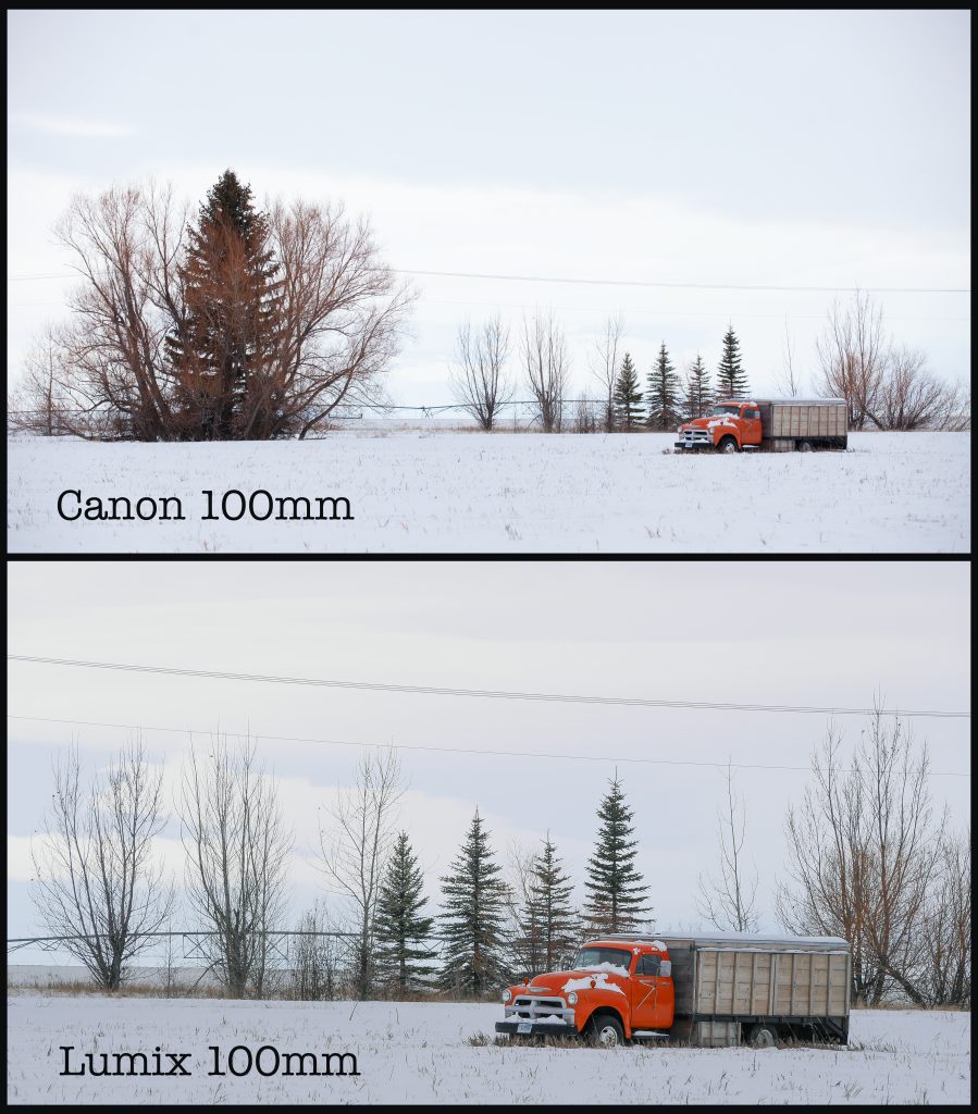 Small Chip, Big Chip: Micro 4/3 vs. Full Frame Image Magnification