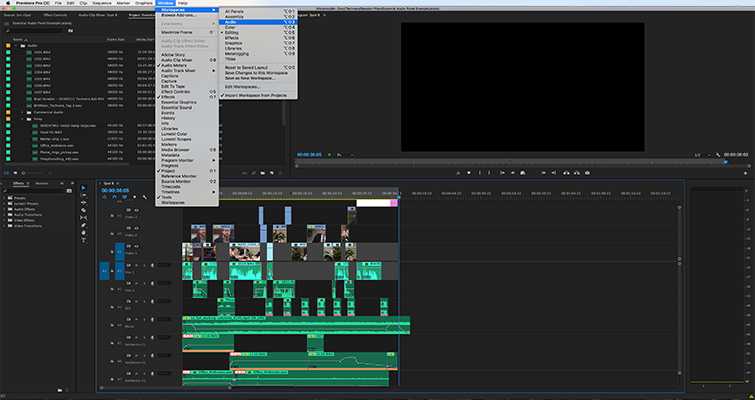 Editing Audio with the Essential Sound Panel in Adobe Premiere Pro