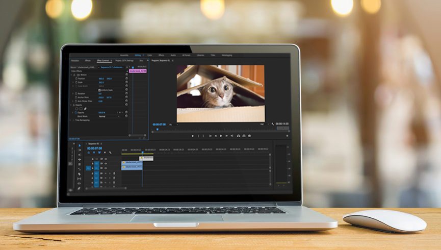 How to Set or Recall Preference Settings in Adobe Premiere Pro