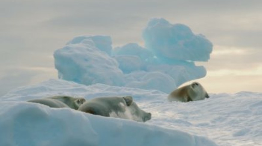 The Blackmagic Pocket Cinema Camera 6K in Extreme Cold