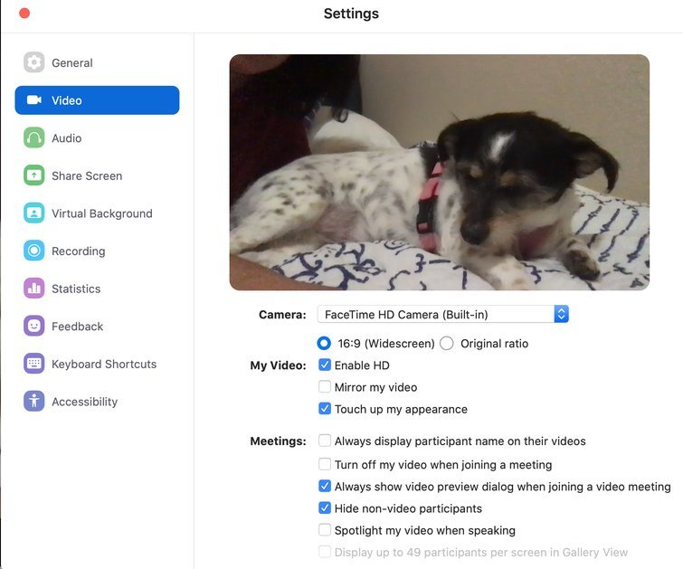 Tips and Tricks for Making a Film with Zoom Technology