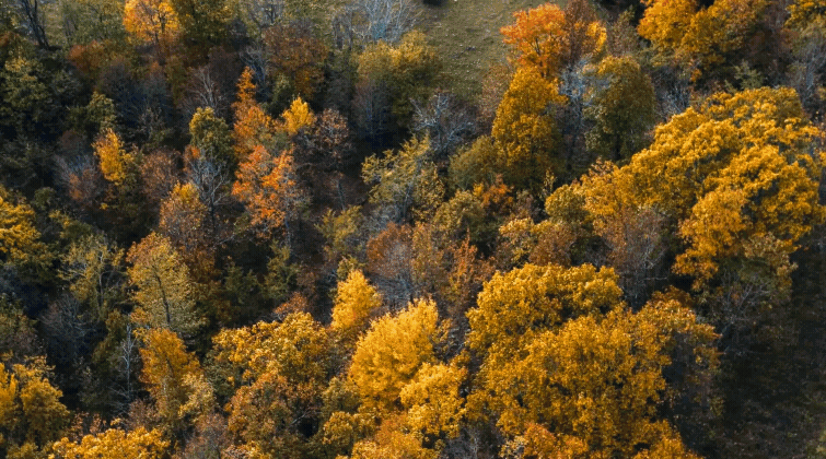 Datamoshing 101: How to Make Your Footage Look Trippy