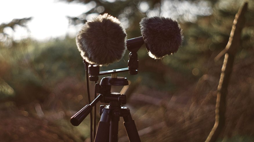 The 5 Best Field Recorders for Audio on the Go